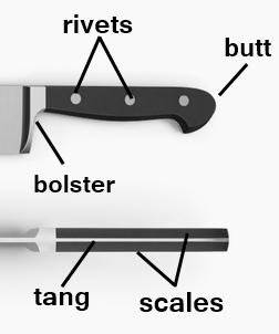 The Anatomy of a Knife: Learn About the Parts and Purpose - GoShapening NYC
